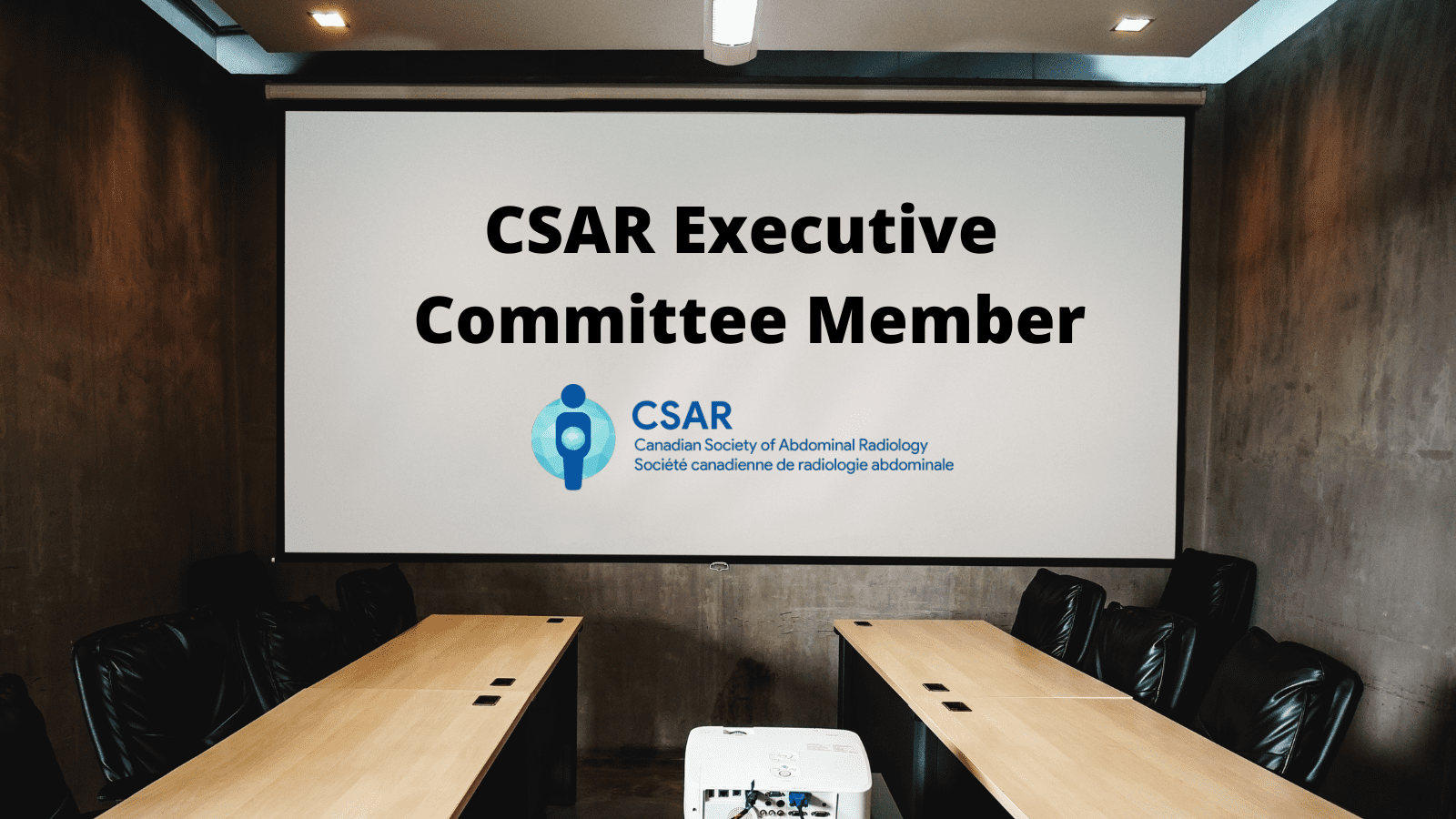 Work with Colleagues in Your Subspecialty and Join the CSAR Executive ...